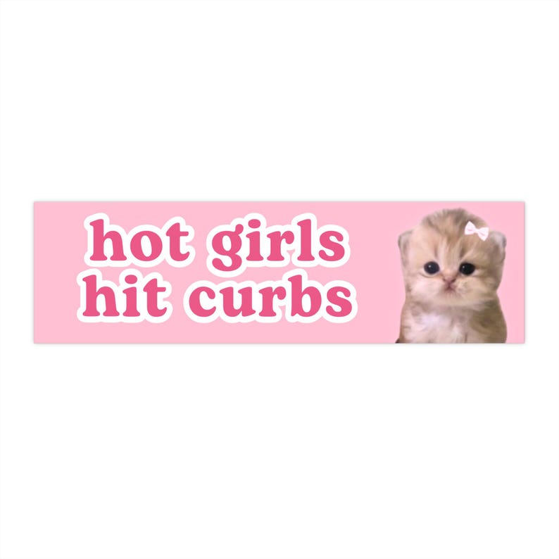 Hot Girls Hit Curbs | Cute Cat Meme Car Bumper Sticker | Funny, Kawaii ...