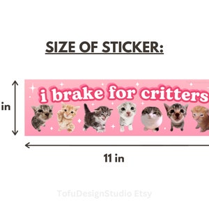 I Brake for Critters | Cat Meme Car Bumper Sticker | Funny Pink Cute ...