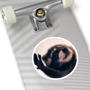 Pedro Pedro Raccoon Dancing Tiktok Meme | Funny Cute Laptop, Car Bumper ...