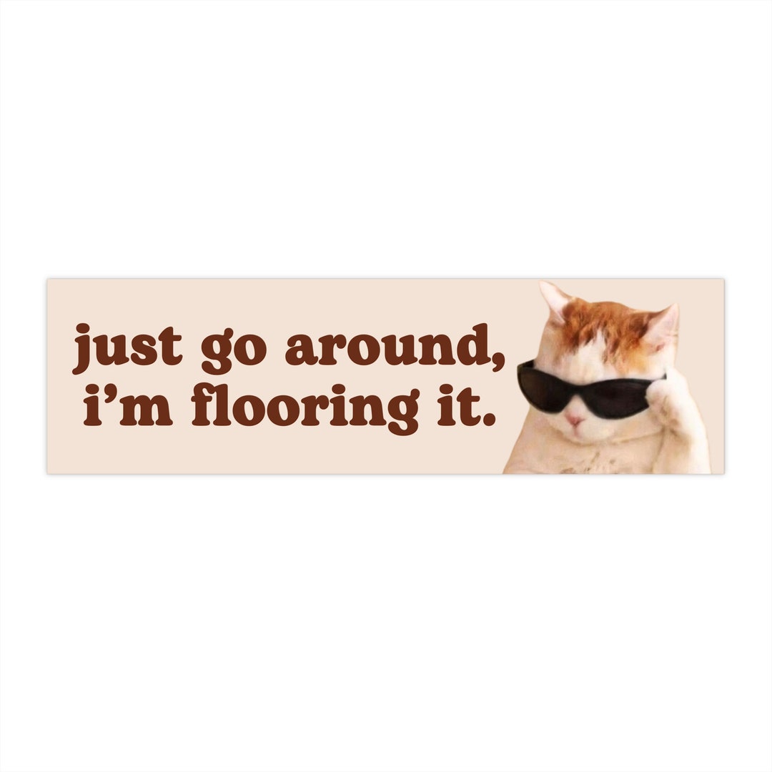 Just Go Around, I'm Flooring It. | Cat Meme Car Bumper Sticker | Funny ...