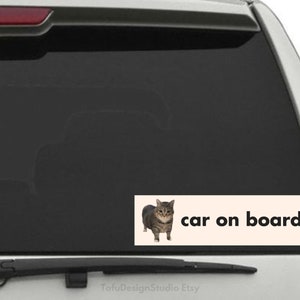 Car on Board | Cat Meme Car Bumper Sticker | Funny Cute Drive Safe ...