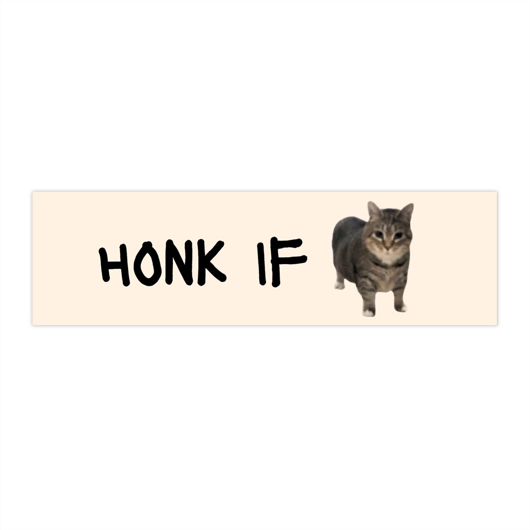Honk If | Cat Meme Car Bumper Sticker | Funny Gen Z, Cute Silly Cat ...