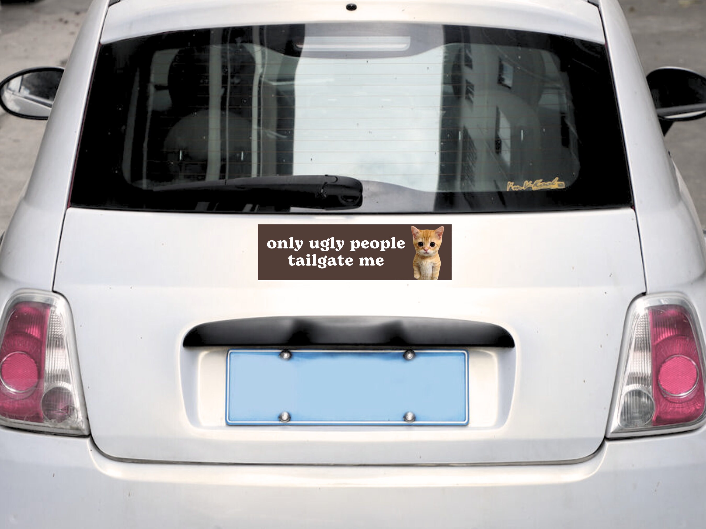 Only Ugly People Tailgate Me El Gato Cat Meme Car Bumper Sticker Cute ...