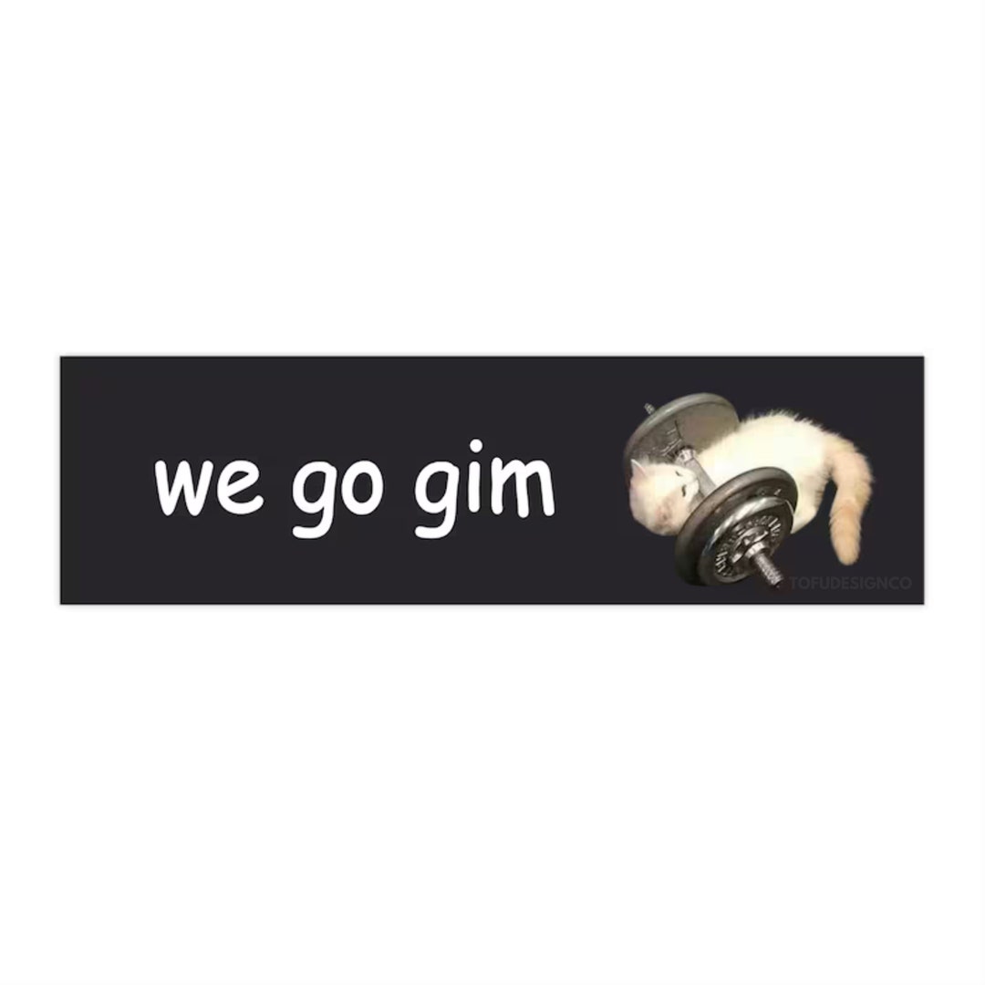 We Go Gim | Gym Cat Meme Car Bumper Sticker | Funny Kitty Cute Car ...