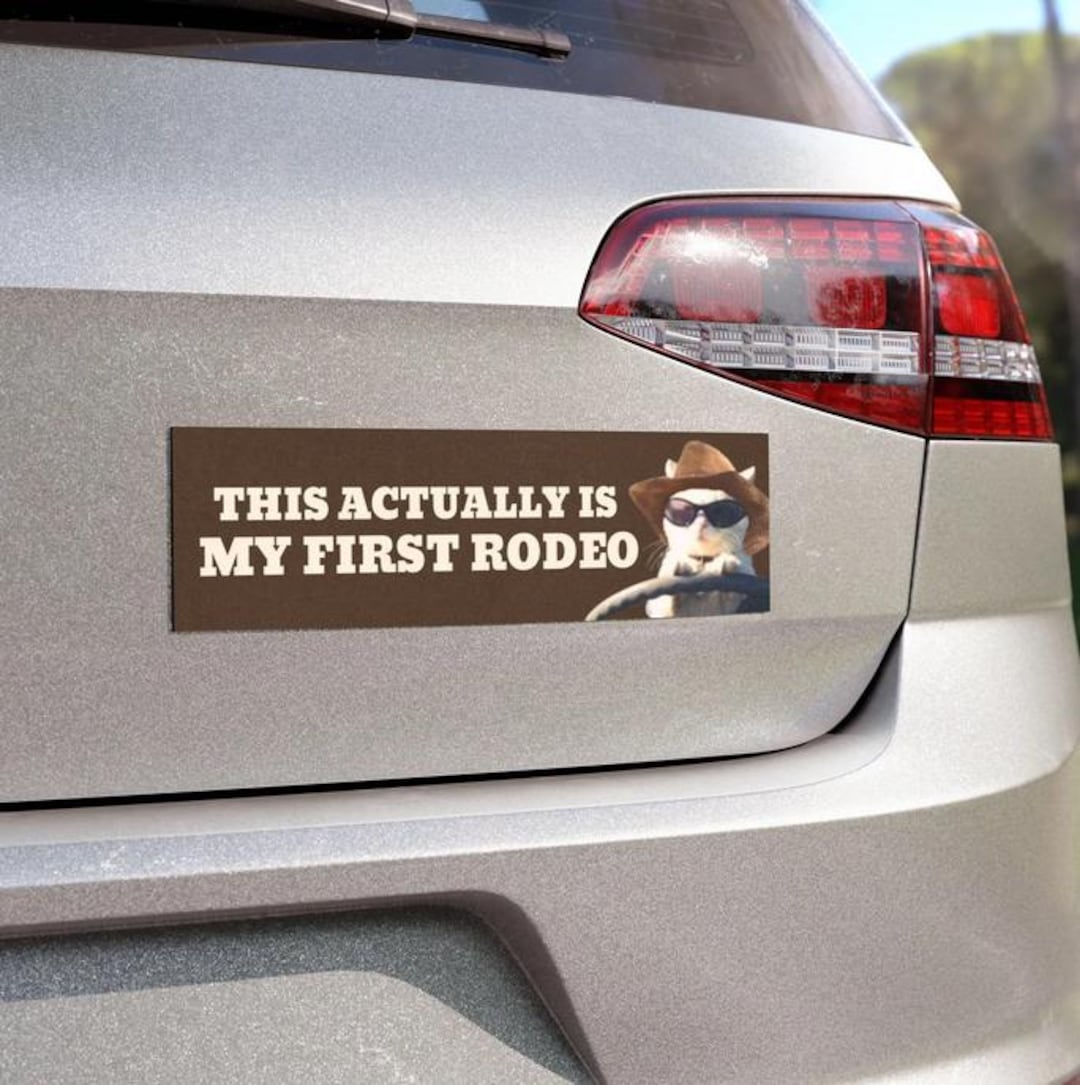 This Actually is My First Rodeo | Car Bumper STICKER | Funny Cowboy Cat ...