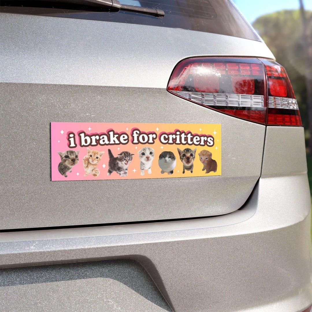 I Brake for Critters | Cat Meme Car Bumper Magnet | Funny Cute Kitty ...