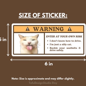 Silly Cat Meme Car Warning Sticker | Cute Kitty Caution Airbag Label ...