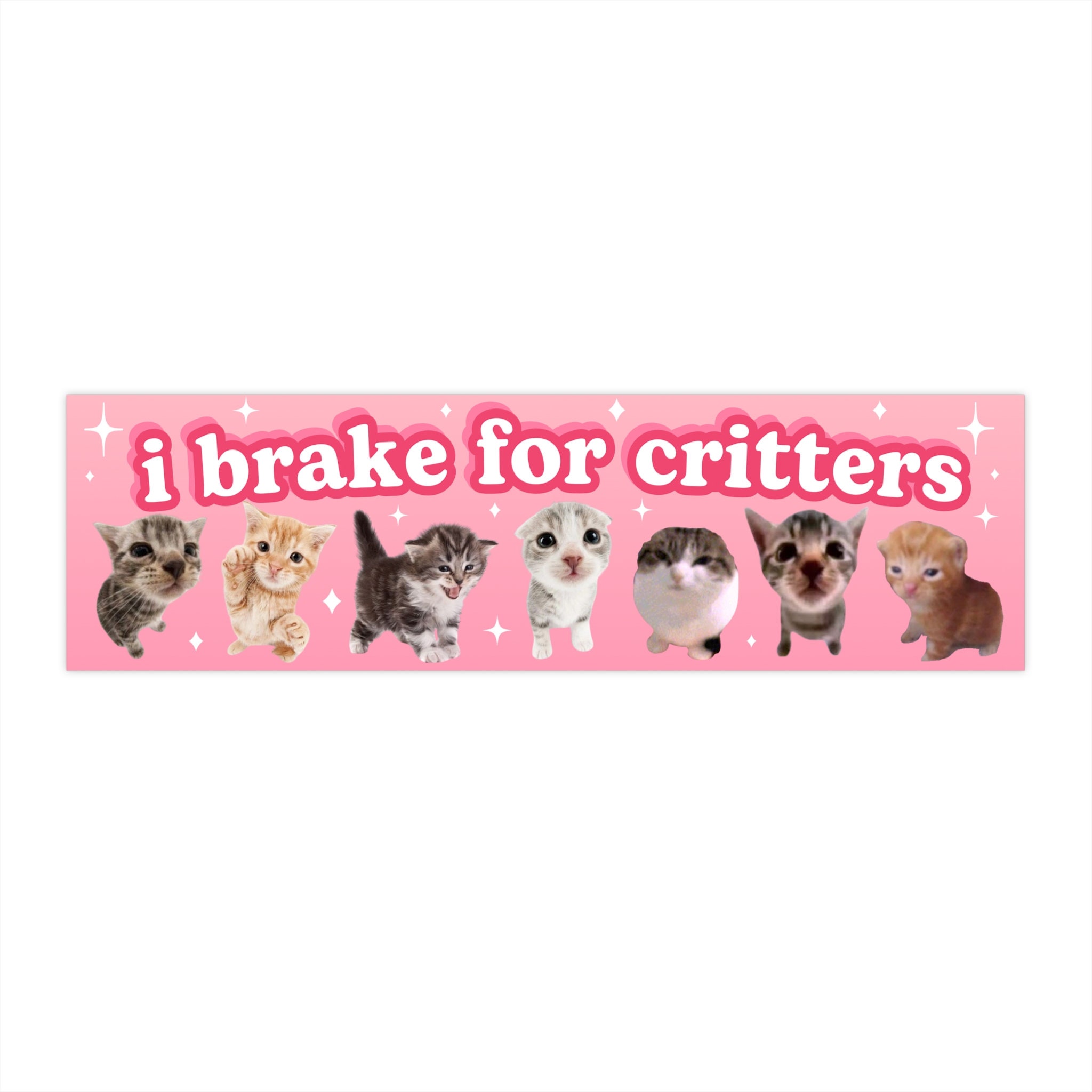 I Brake for Critters | Cat Meme Car Bumper Sticker | Funny Pink Cute ...