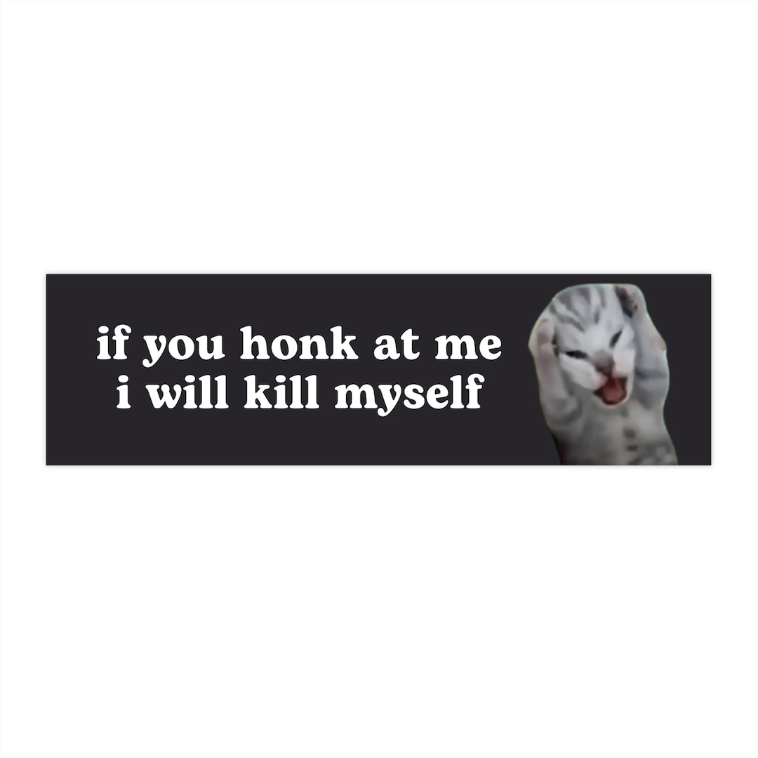 If You Honk at Me I Will Myself | Cat Meme Car Bumper Sticker | Funny ...