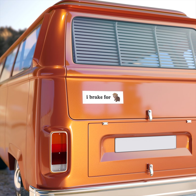 I Brake for Cats | Cat Meme Car Bumper Sticker | Funny Cute Kitty Car ...