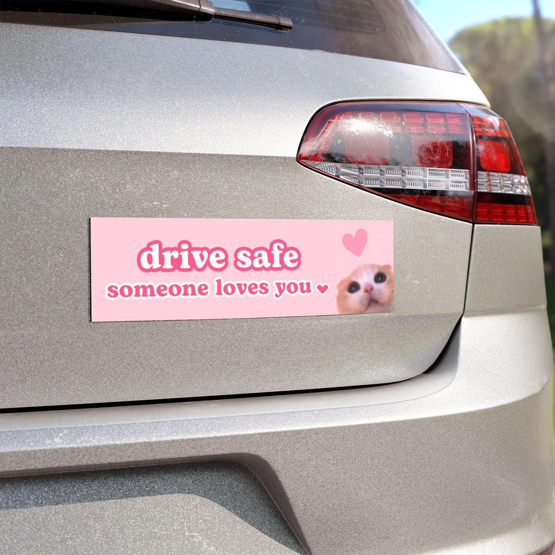 Drive Safe Someone Loves You | Car Bumper MAGNET | Cute Funny Cat Meme ...