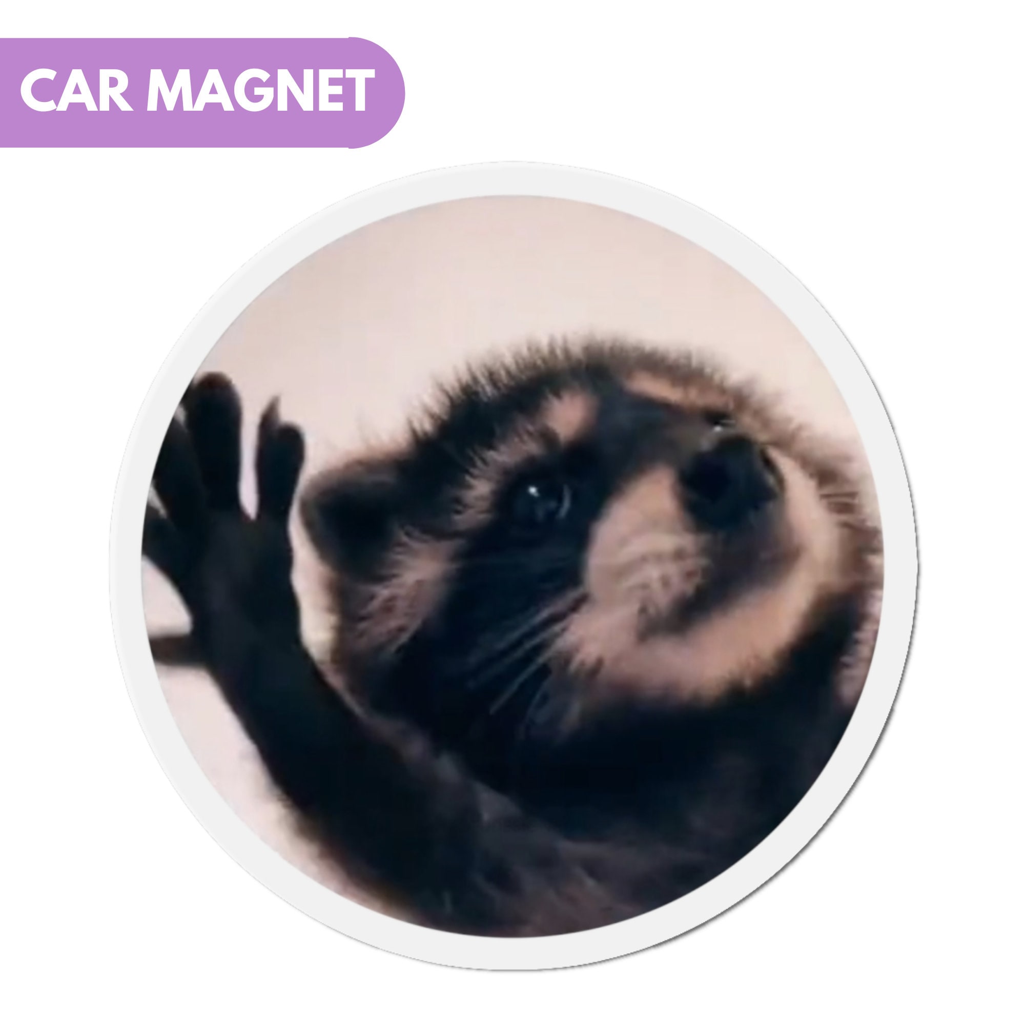 Pedro Pedro Raccoon Dancing Tiktok Meme Magnet Funny Cute Custom Fridge ...