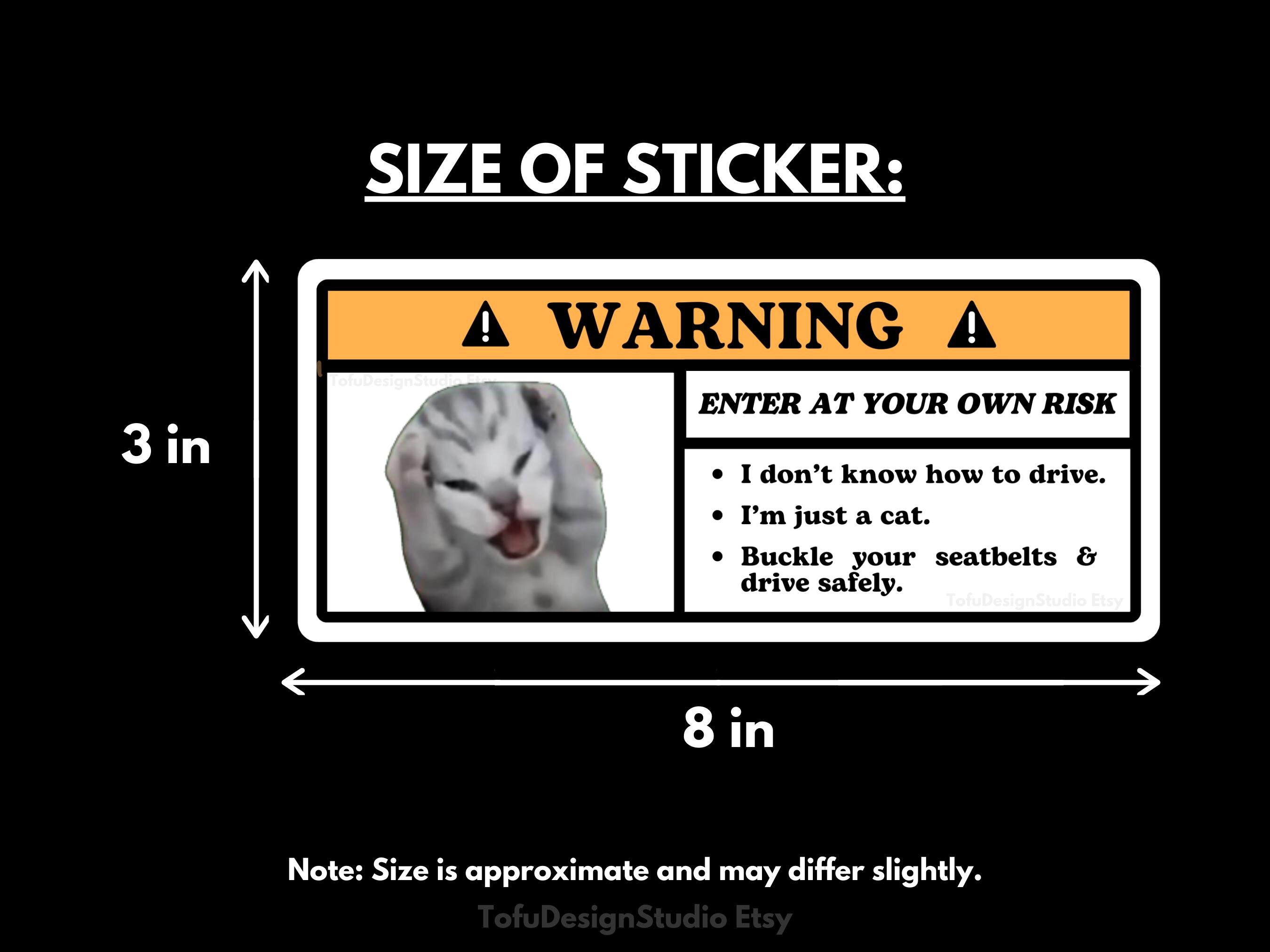 Screaming Cat Meme Car Warning Sticker | Cute Kitty Caution Airbag ...