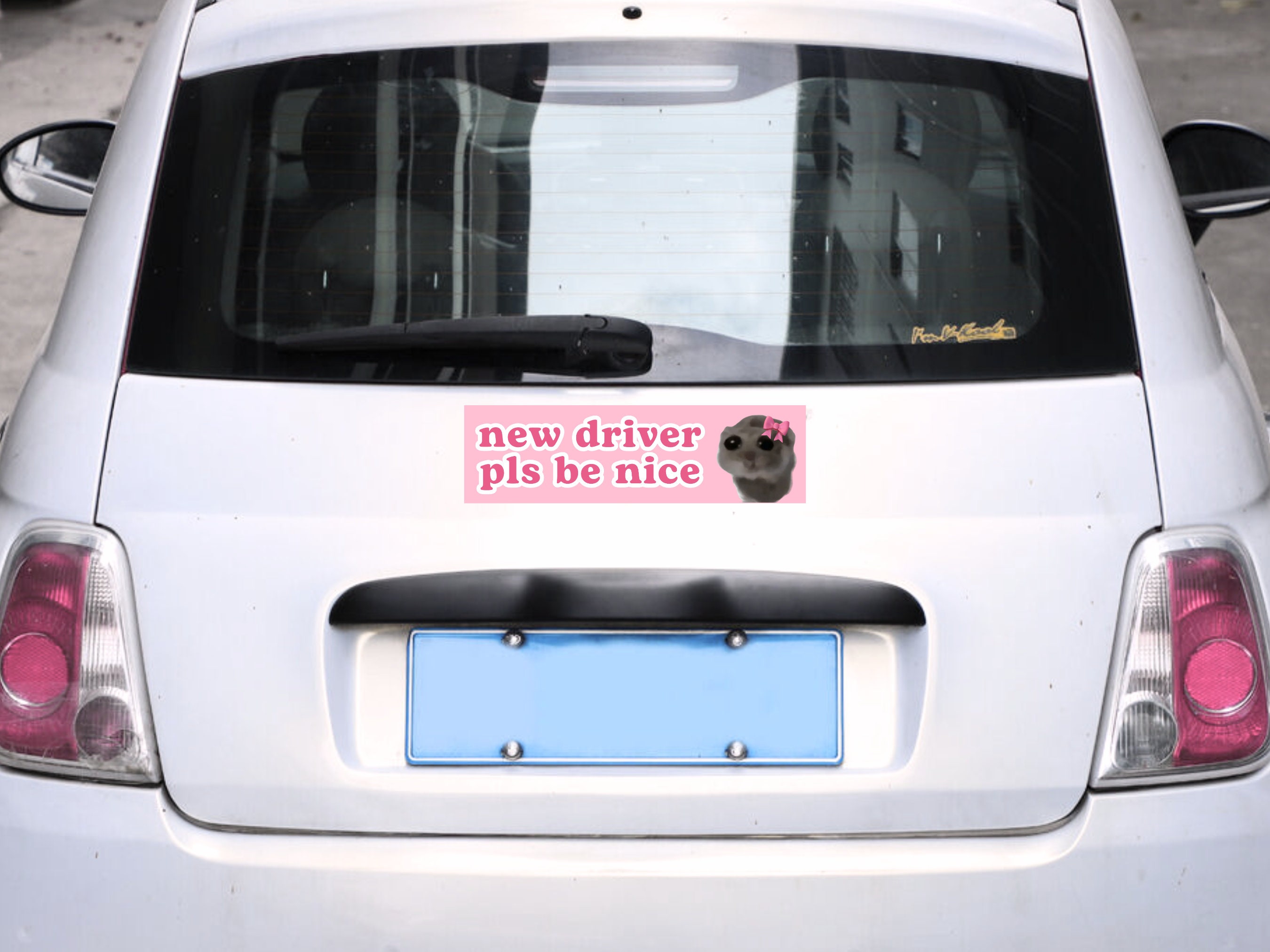 New Driver Pls Be Nice | Sad Hamster Car Bumper Sticker | Crying Funny ...