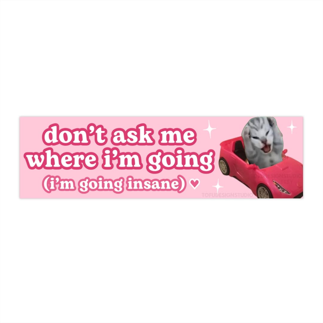 Don't Ask Me Where I'm Going i'm Going Insane Cat Meme Car Bumper ...