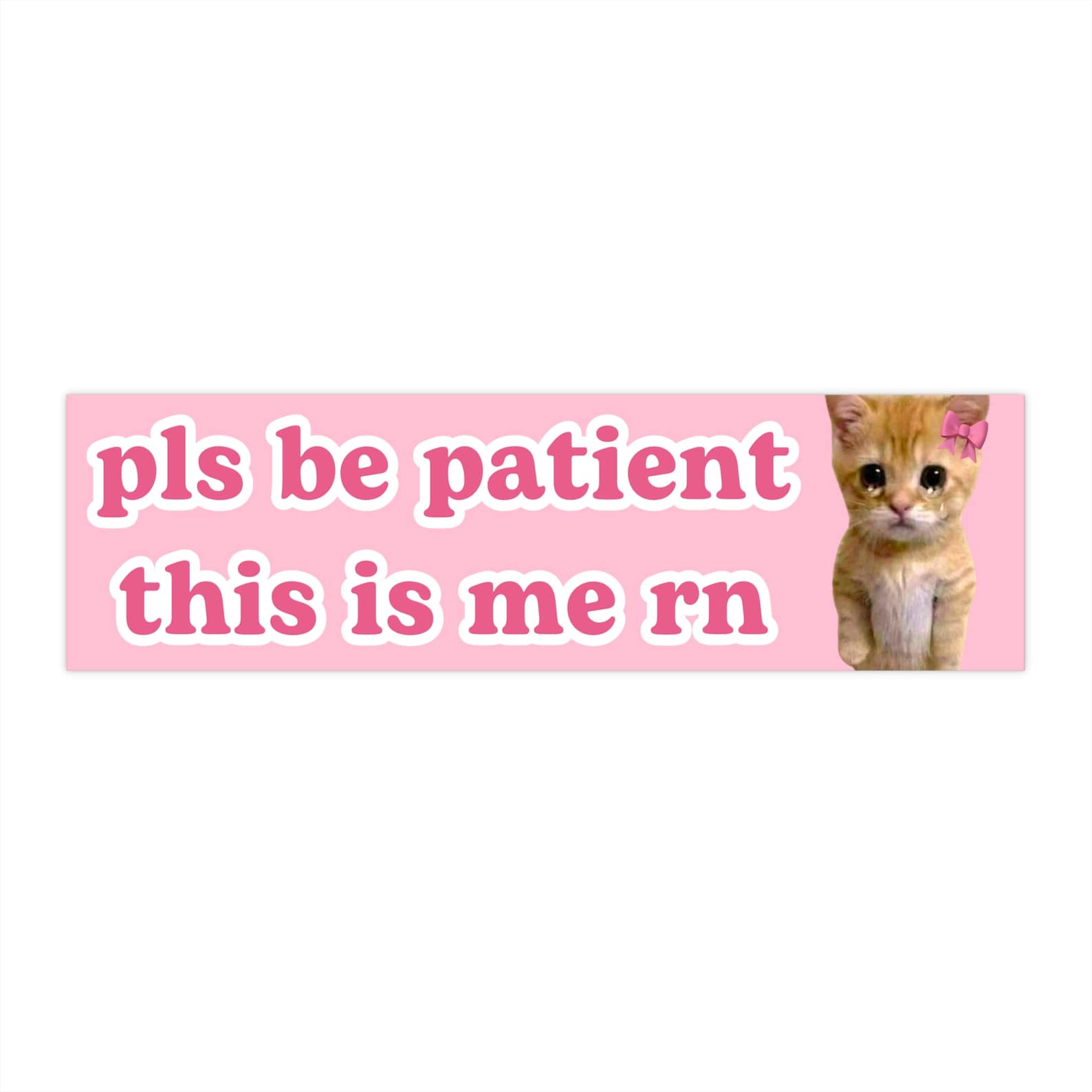 Pls Be Patient This is Me Rn | Cat Meme Car Bumper Sticker | Crying ...