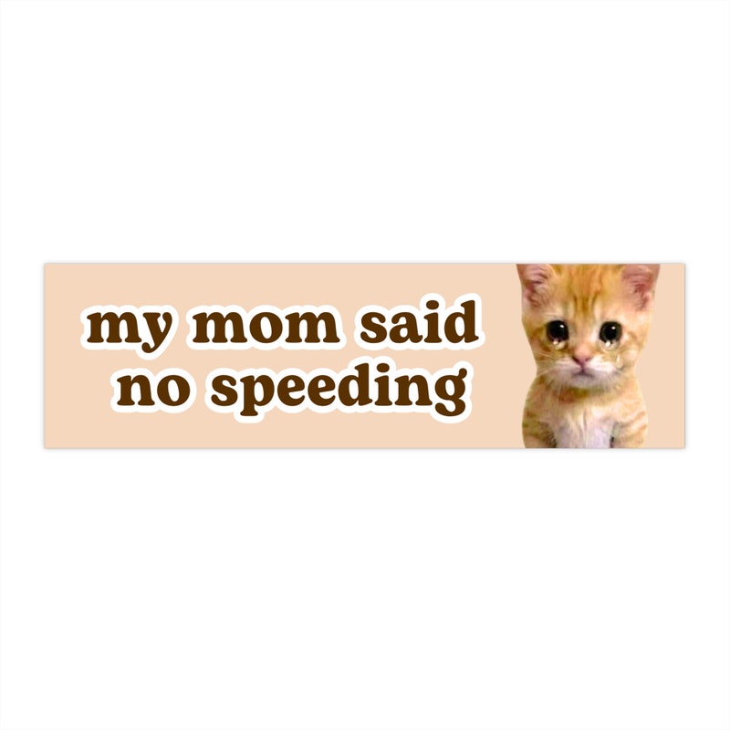 Cat Bumper Sticker - Etsy