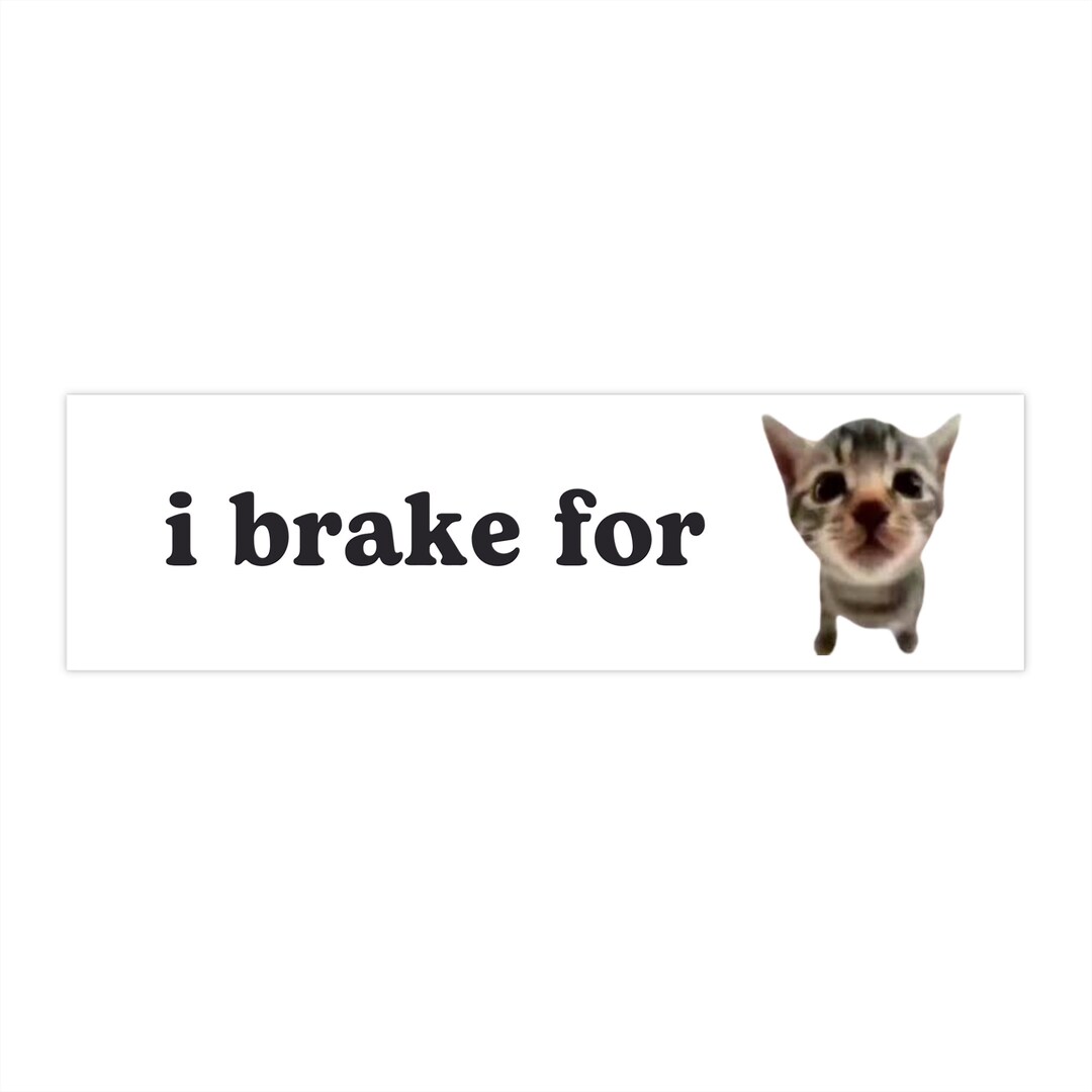 I Brake for Cats Cat Meme Car Bumper Sticker Funny Cute Kitty Car ...