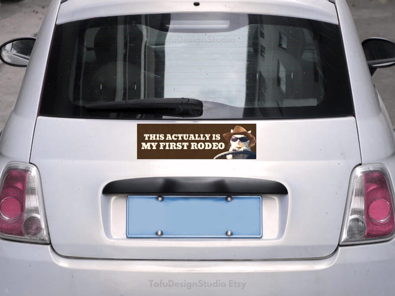This Actually is My First Rodeo | Car Bumper STICKER | Funny Cowboy Cat ...