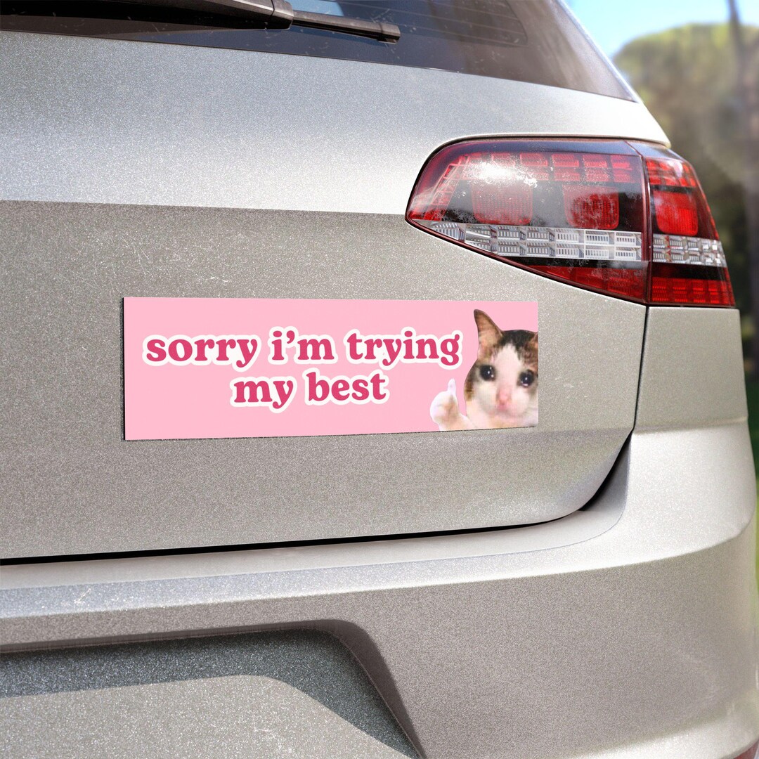 Funny Cat Meme Car Magnet | Sorry I'm Trying My Best | Cute Pink ...