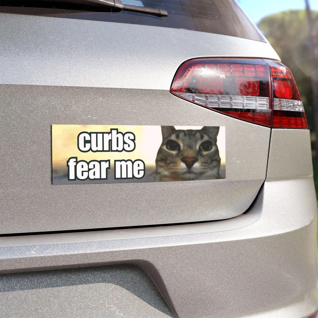Curbs Fear Me / Funny Cat Car Bumper MAGNET / Meme, Gen Z Unhinged ...