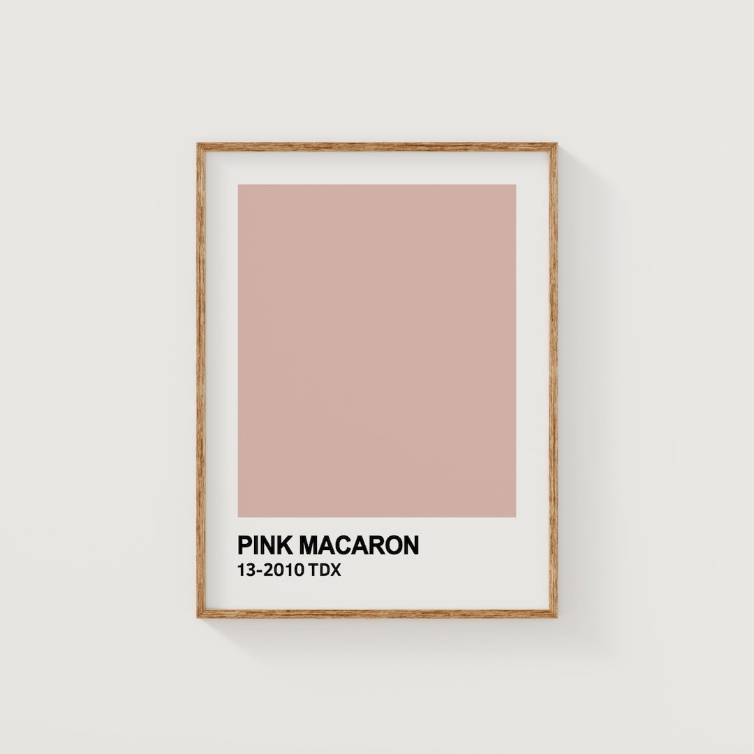 Pink Macaron Paint Swatch | Minimalist Valentine’s Day Pinkcolor Swatch ...