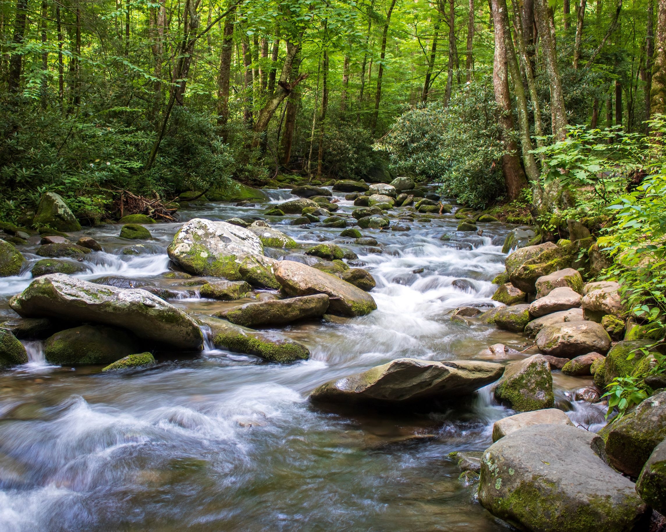 Rocky River Photo Print From Gatlinburg, TN Peaceful River View of ...