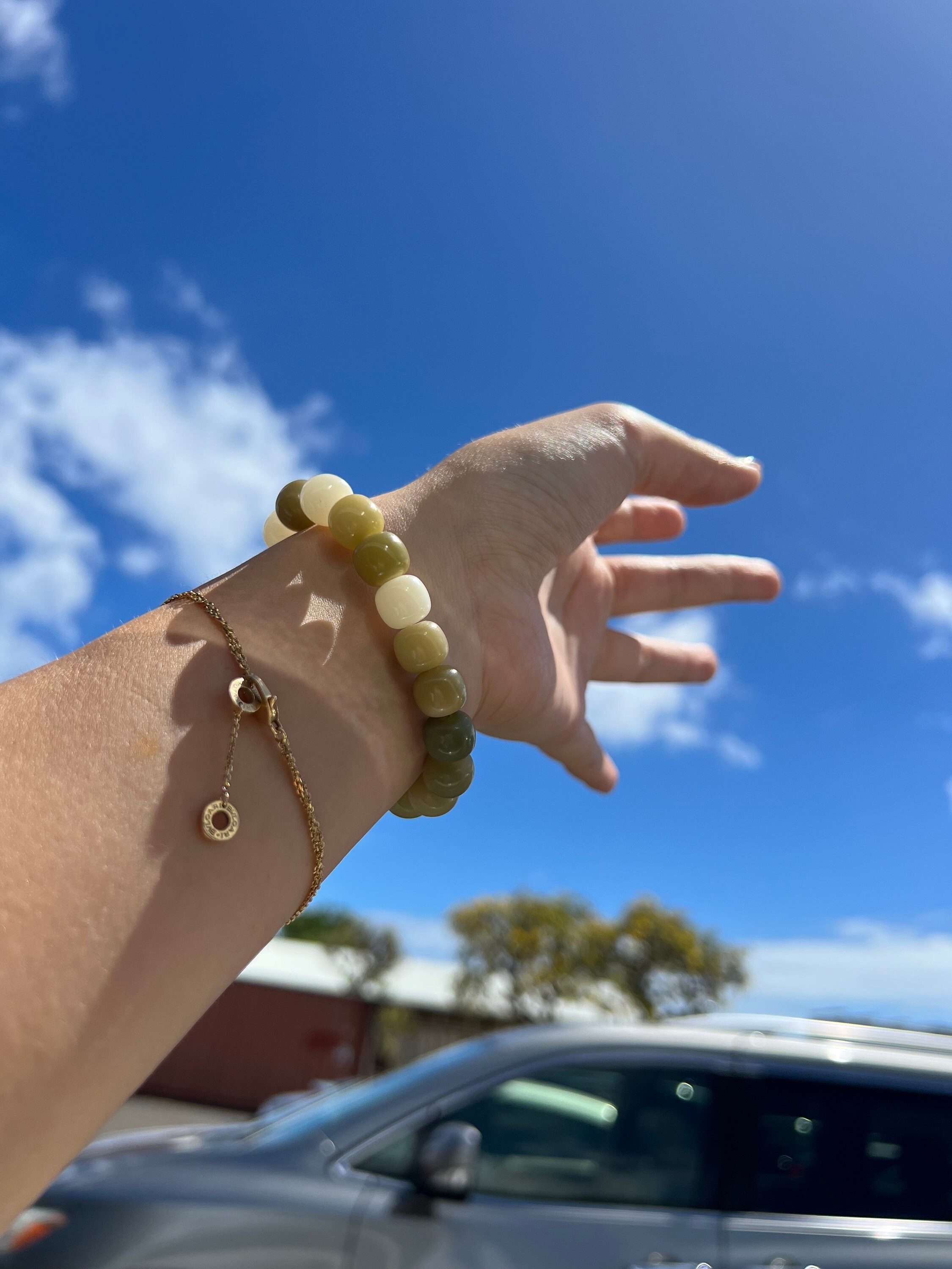 Natural Bodhi Seed Bracelet macha - Etsy