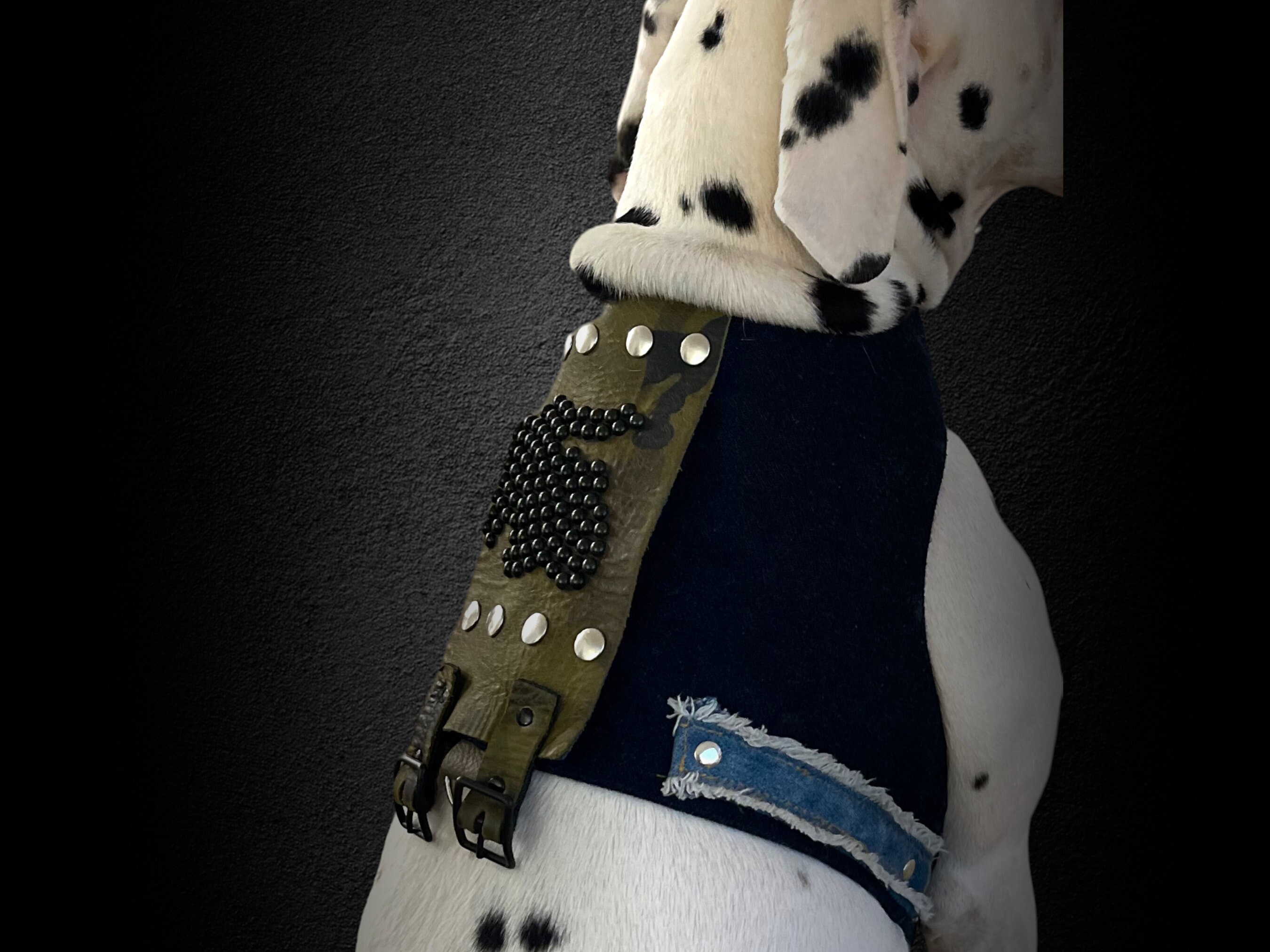 Custom Upcycled Denim Dog Harness With Removable Hardware. Size L - Etsy