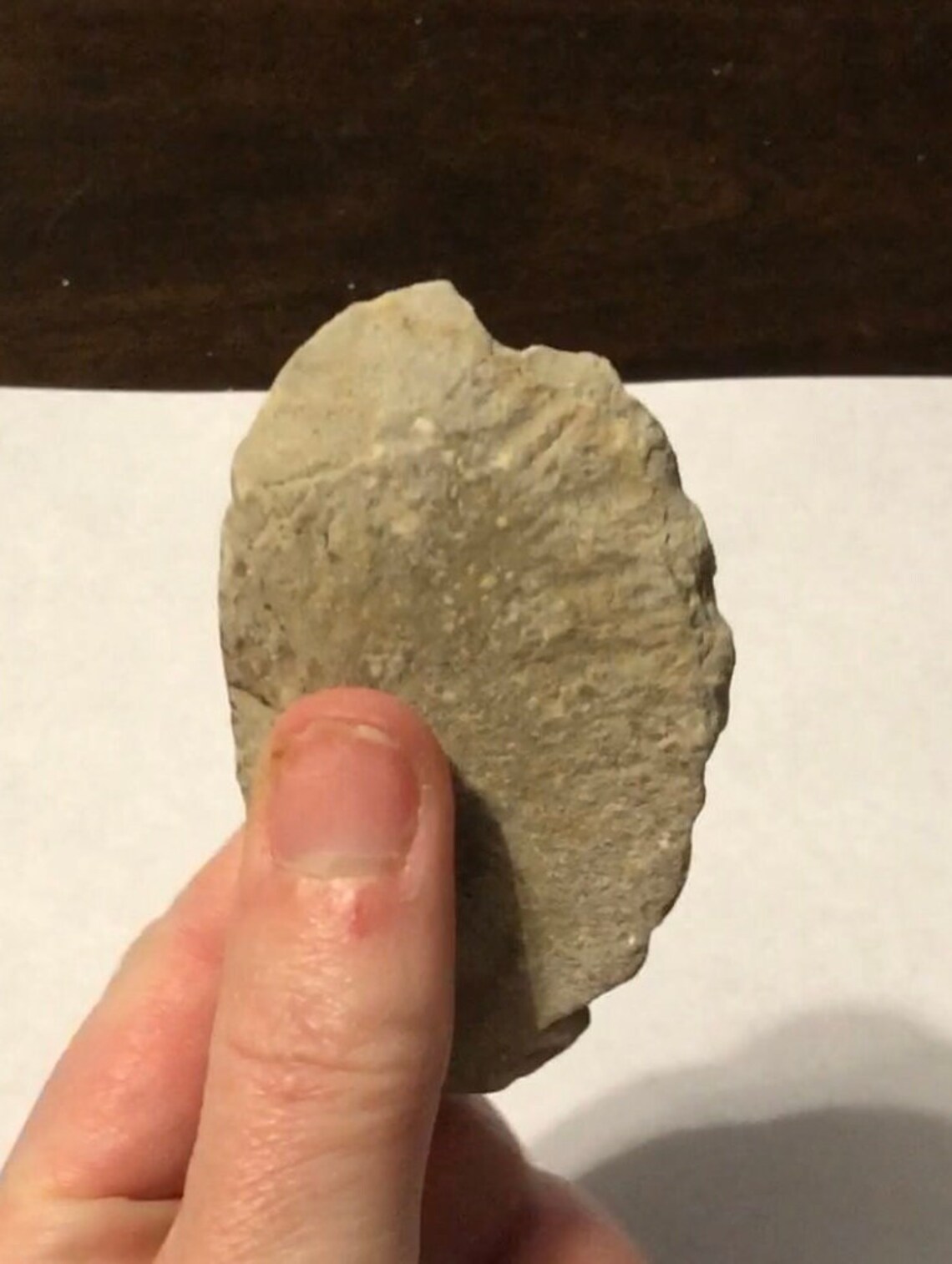 Beautiful Authentic Native American Scrapper Stone Tool Artifact Relic ...