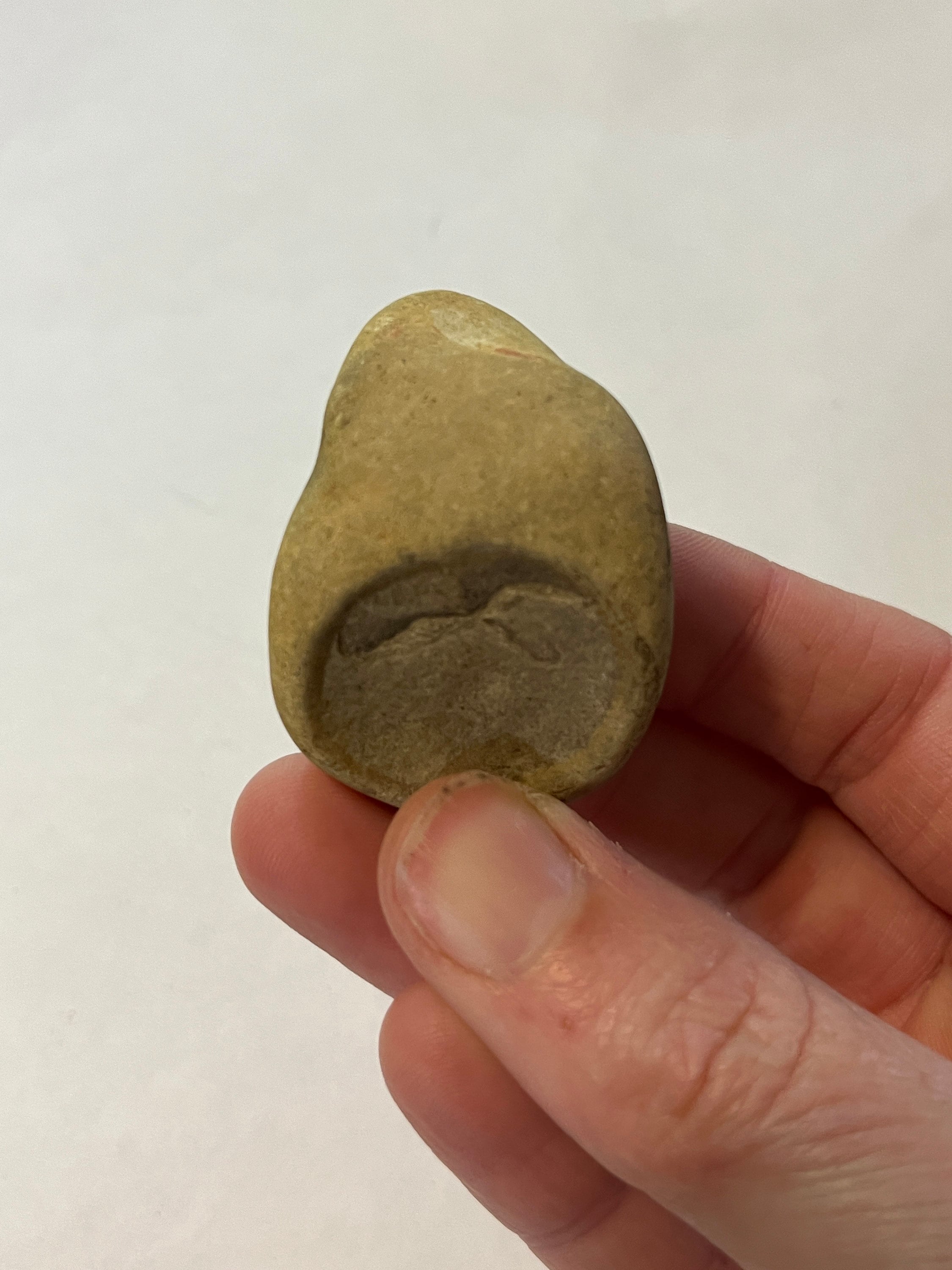 Amazing Native American Mill Stones | Cup Stones | Nutting Stones ...