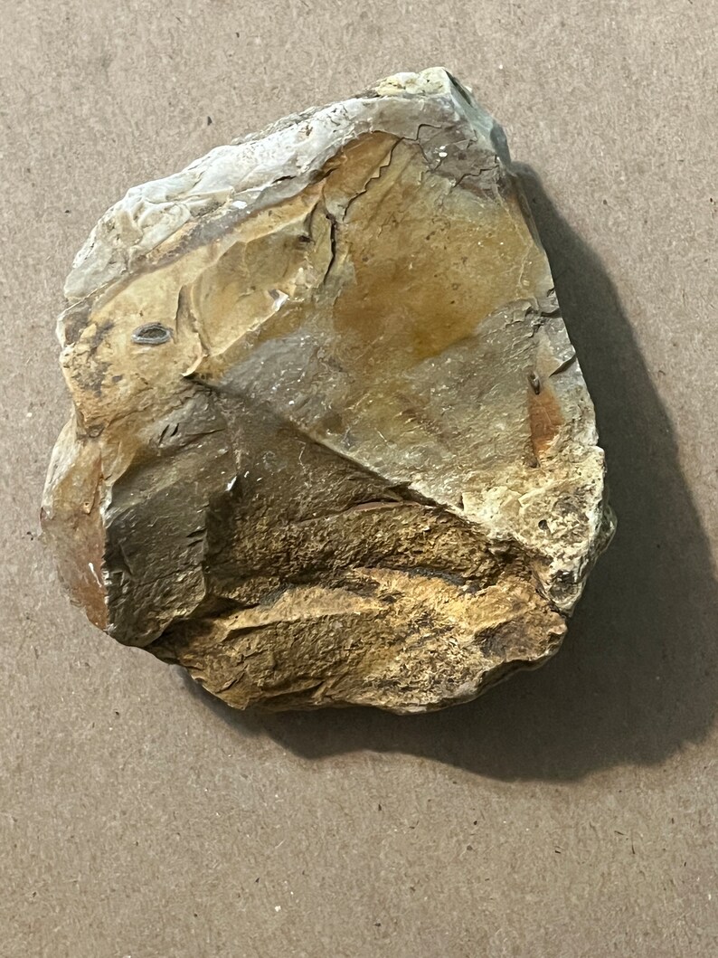 Beautiful Multicolored Ohio Flint Crystal Rock Stone Gem Specimen Flint ...