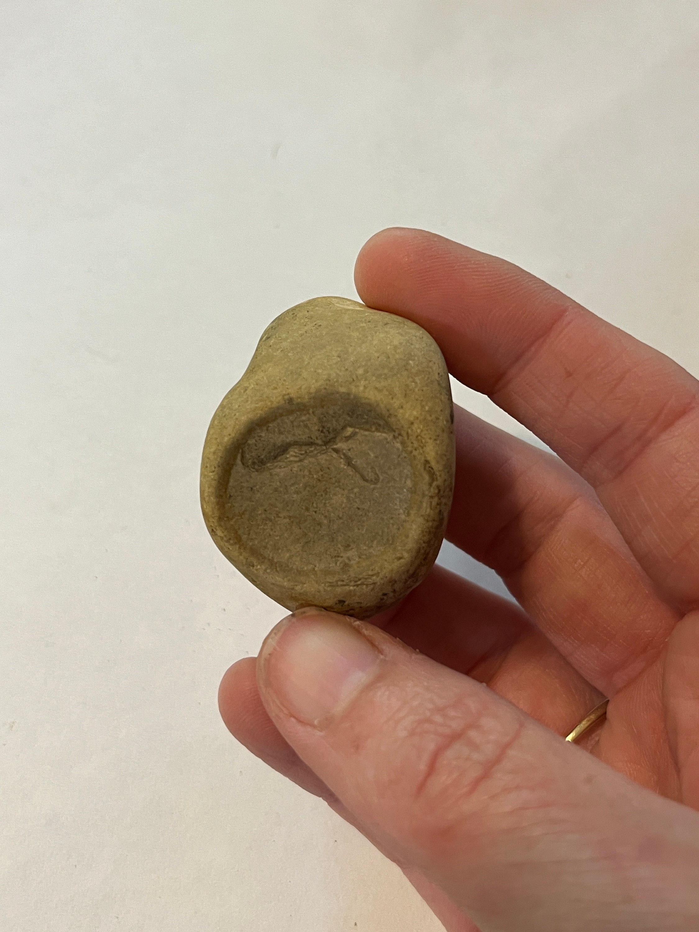 Amazing Native American Mill Stones | Cup Stones | Nutting Stones ...