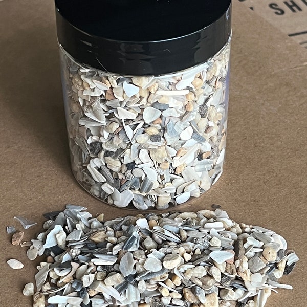 Crushed Sea Shells - Etsy