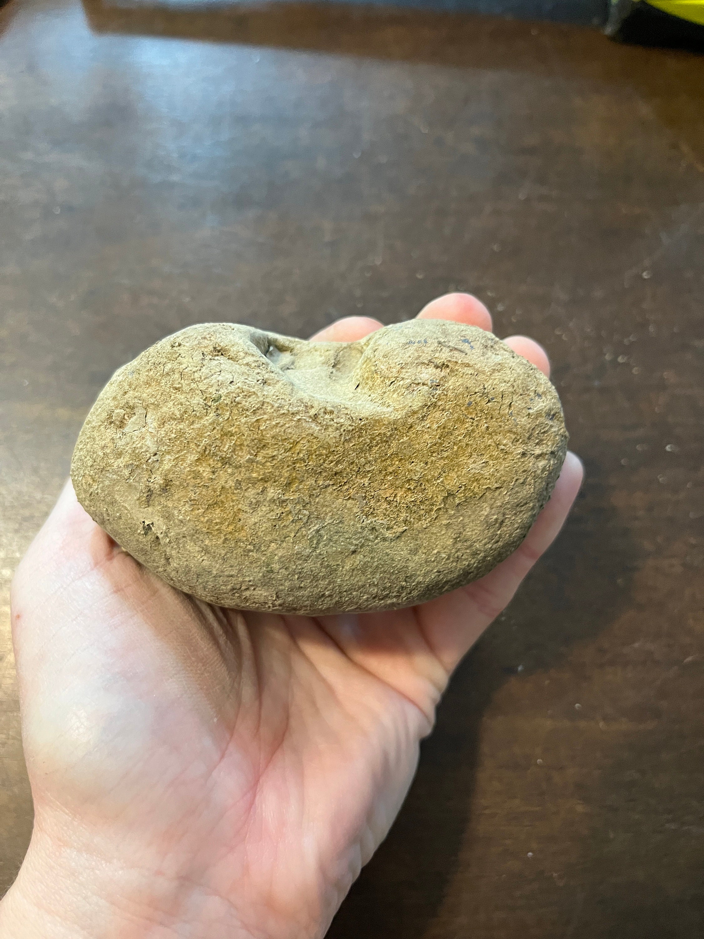 Native American Stone Tool | Celt | Adze | Hammer Head | Artifact ...