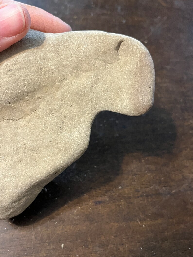 Native American Axe Head | Adze | Adz | Stone Tool | Artifact | Relic ...