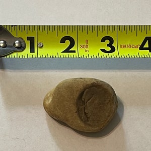 Amazing Native American Mill Stones | Cup Stones | Nutting Stones ...