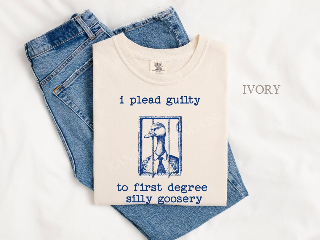 Funny Silly Goose Shirt, Funny Goose Shirt, Goose Lover Shirt, Meme ...