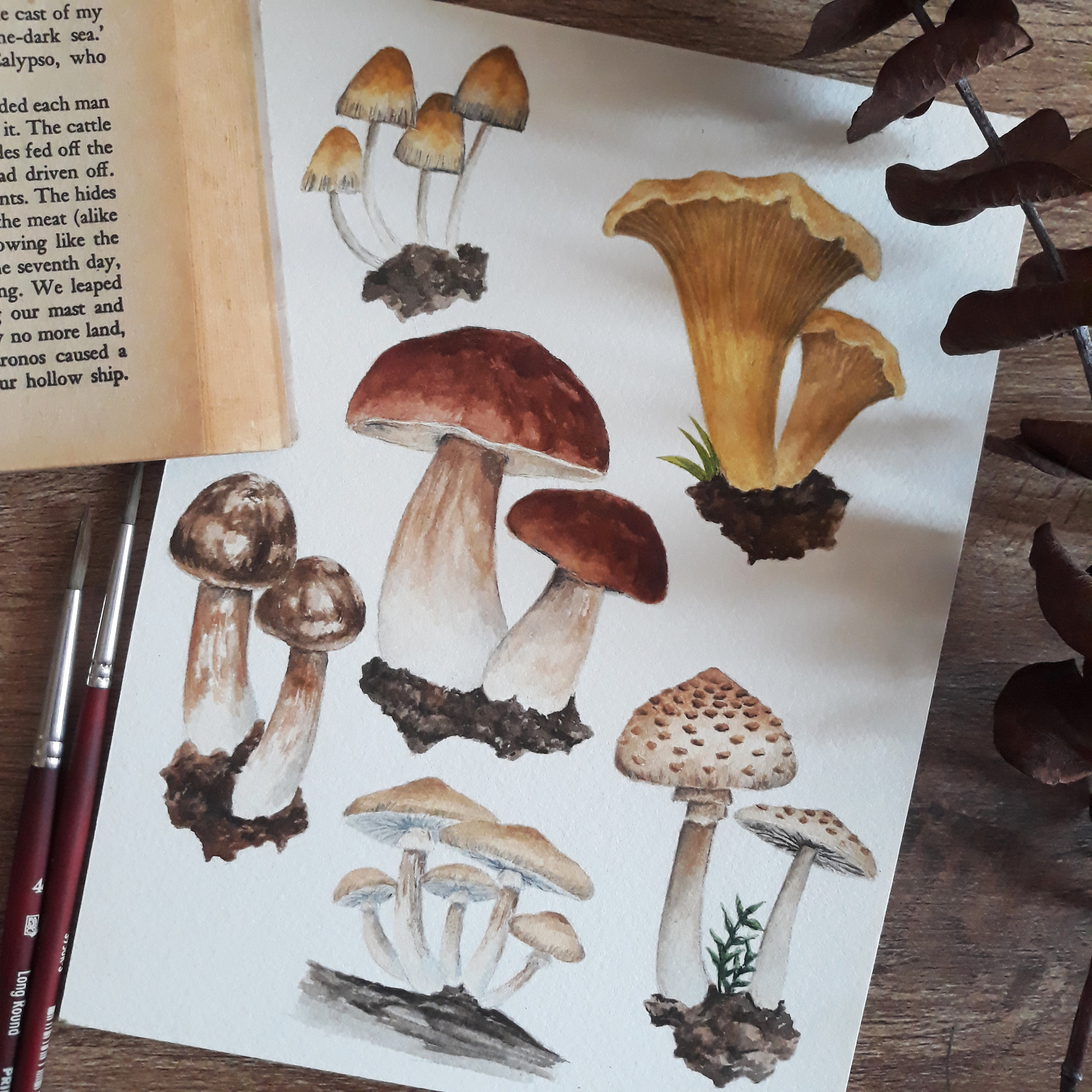 Mushroom Digital Print, Woodland Wall Art, Botanical Printable ...