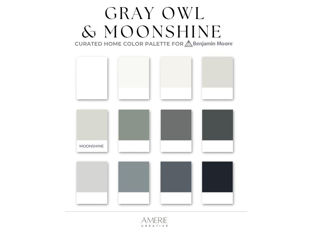 Moonshine Gray Owl Color Palette Benjamin Moore Paint Palette Modern ...