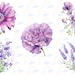 Watercolor Colorful Purple Lavender Flowers Floral Clipart Bundle of 20 ...