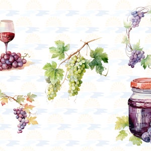 Watercolor Grape Fruit Wine Juice Branch Clipart Bundle of 20 ...