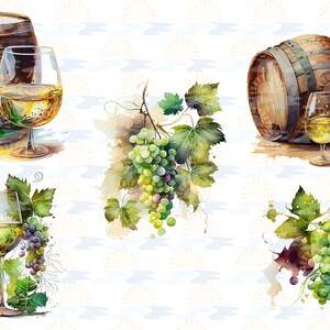 Watercolor White Wine Clipart Bundle of 20 - Transparent Background ...