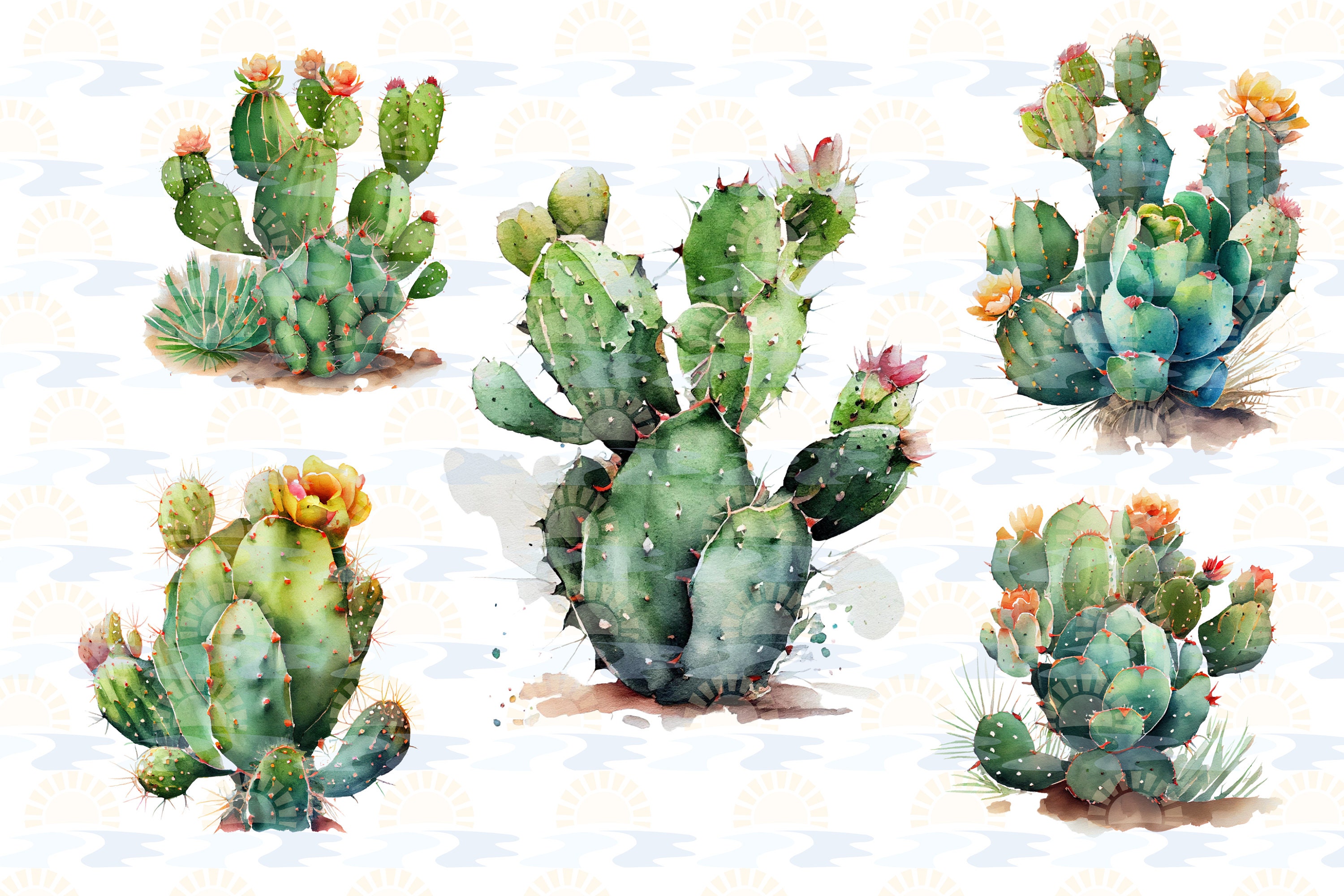 Watercolor Cactus Clipart Bundle of 20 - Transparent Background ...