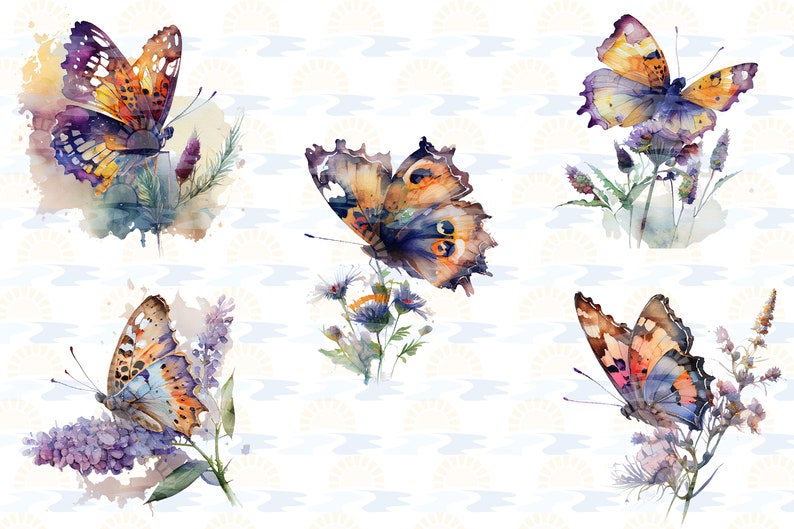 Watercolor Butterfly Floral Botanical Clipart Bundle of 20 - Etsy