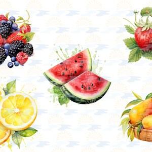 Watercolor Tropical Fruit Summer Food Lemon Clipart Bundle of 20 ...