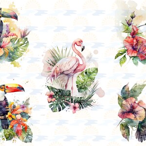 Watercolor Tropical Summer Animals Turtles Birds Clipart Bundle of 20 ...
