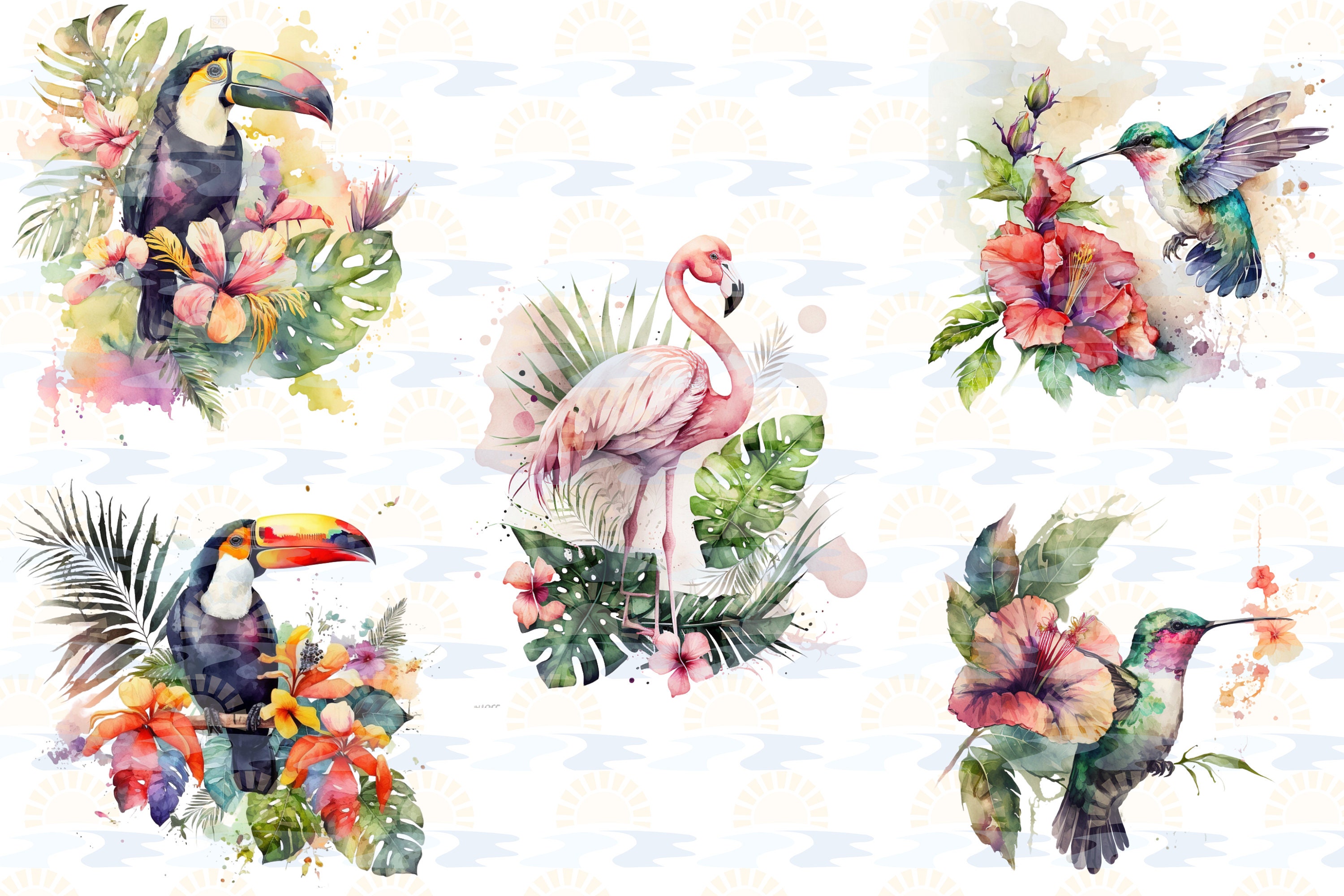 Watercolor Tropical Summer Animals Turtles Birds Clipart Bundle of 20 ...