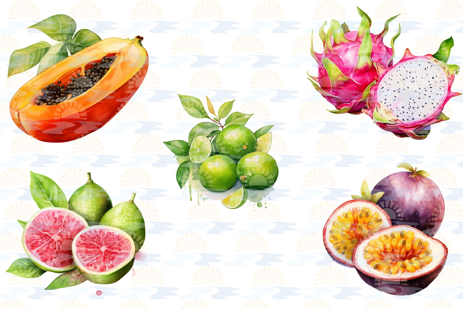 Watercolor Tropical Fruit Clipart – 20 PNG Summer Graphics (digital ...