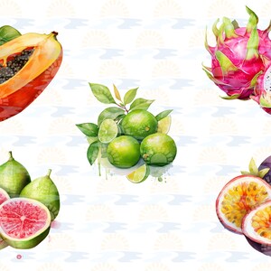 Watercolor Tropical Fruit Summer Food Lemon Clipart Bundle of 20 ...